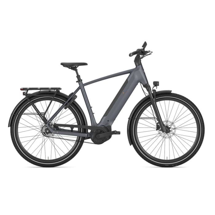 Stilvolle Ebike Gazelle Herren Bildnull